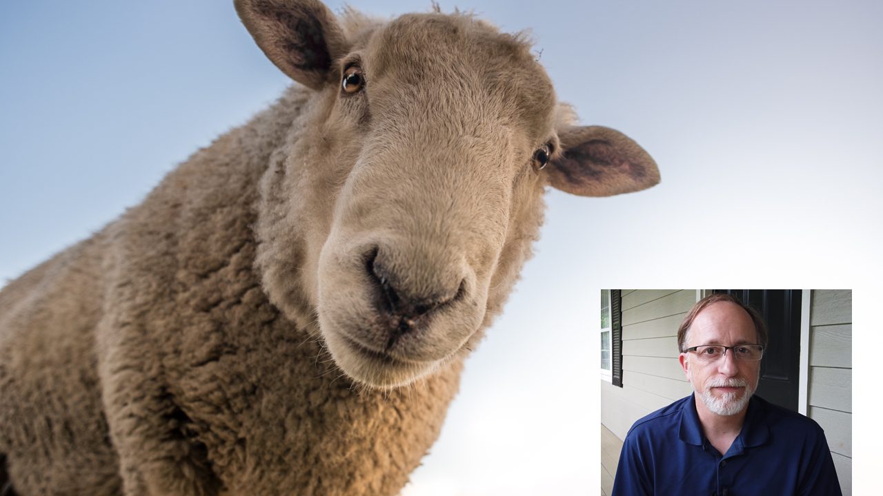 Jacob's Livestock Breeding Experiment | Biblical Genetics