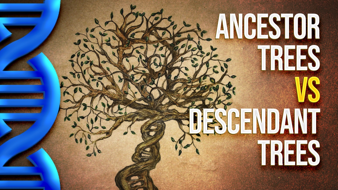 Ancestor vs descendant trees | Biblical Genetics Ancestor vs descendant trees | Biblical Genetics