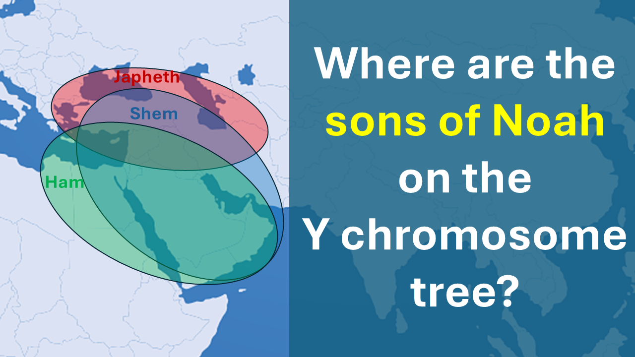 Placing Noah's sons on the Y chromosome tree | Biblical Genetics